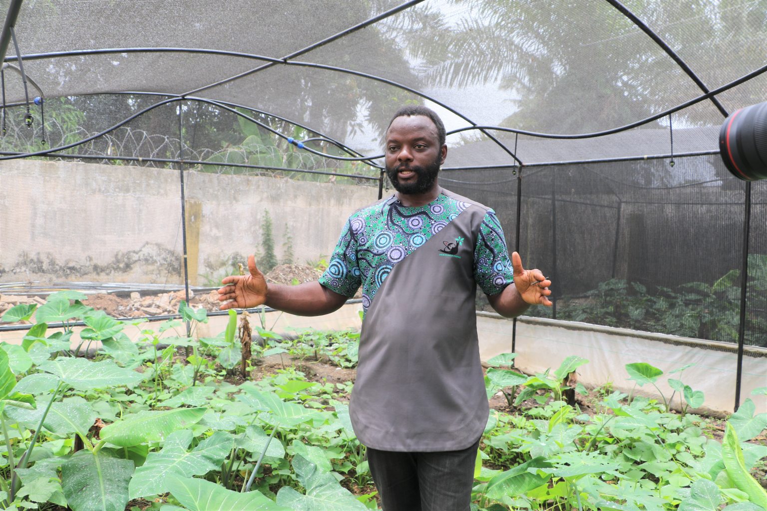 Felix Appiah’s Trisolace: leading Ghana’s snail farming revolution for ...